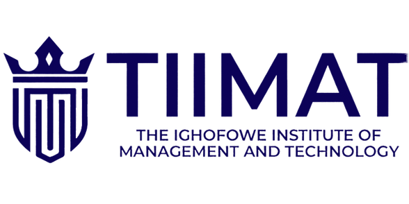 Tiimat Solutions | Impacting Globally